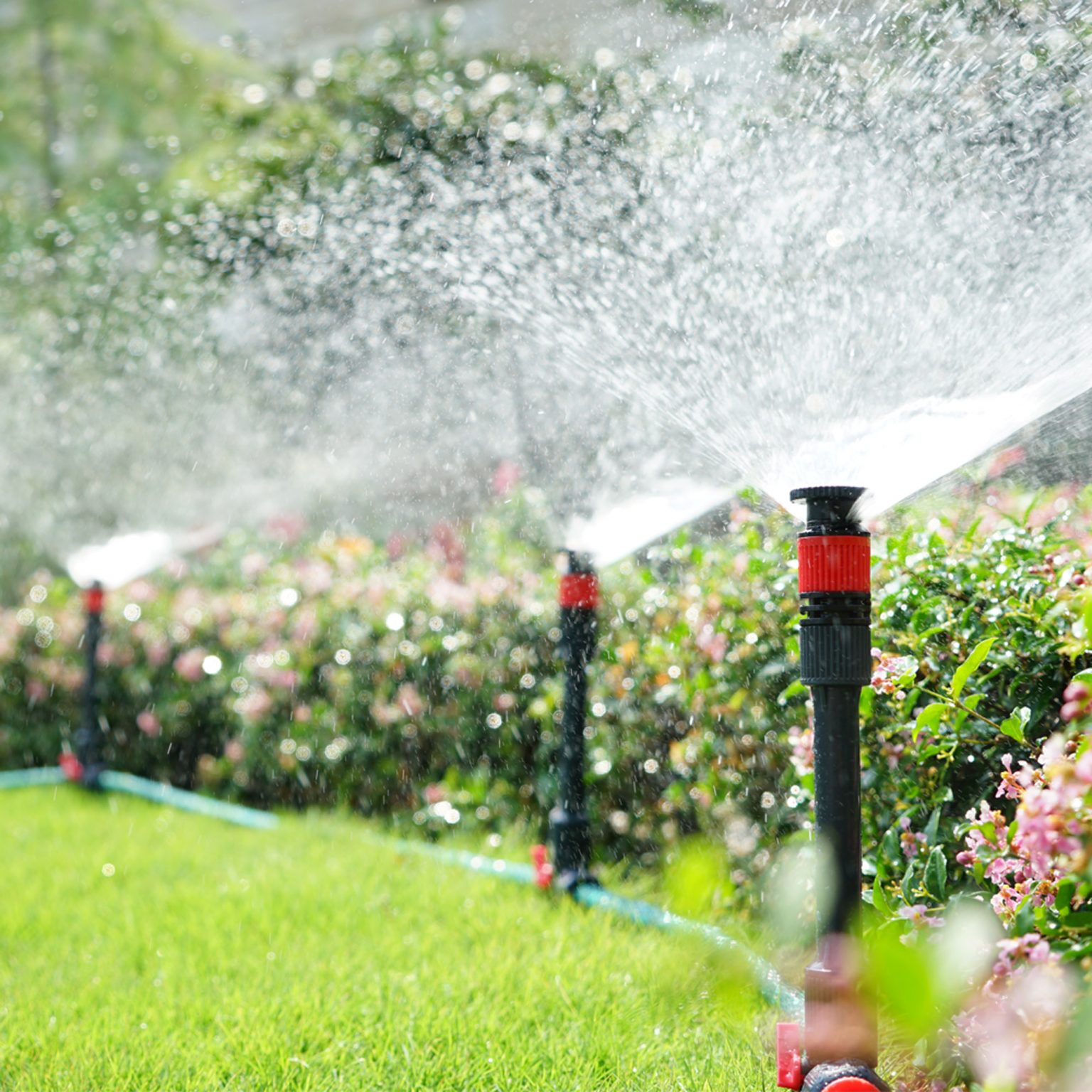 Multi-Adjustable Spike Sprinkler with Extension Set - Eden Garden