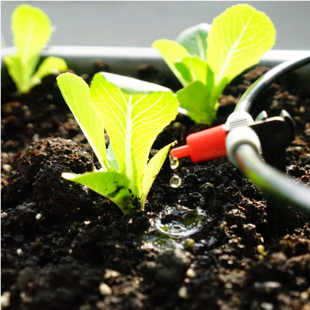 Micro Drip Irrigation Kit with 4-Zone Valve Control - Eden Garden