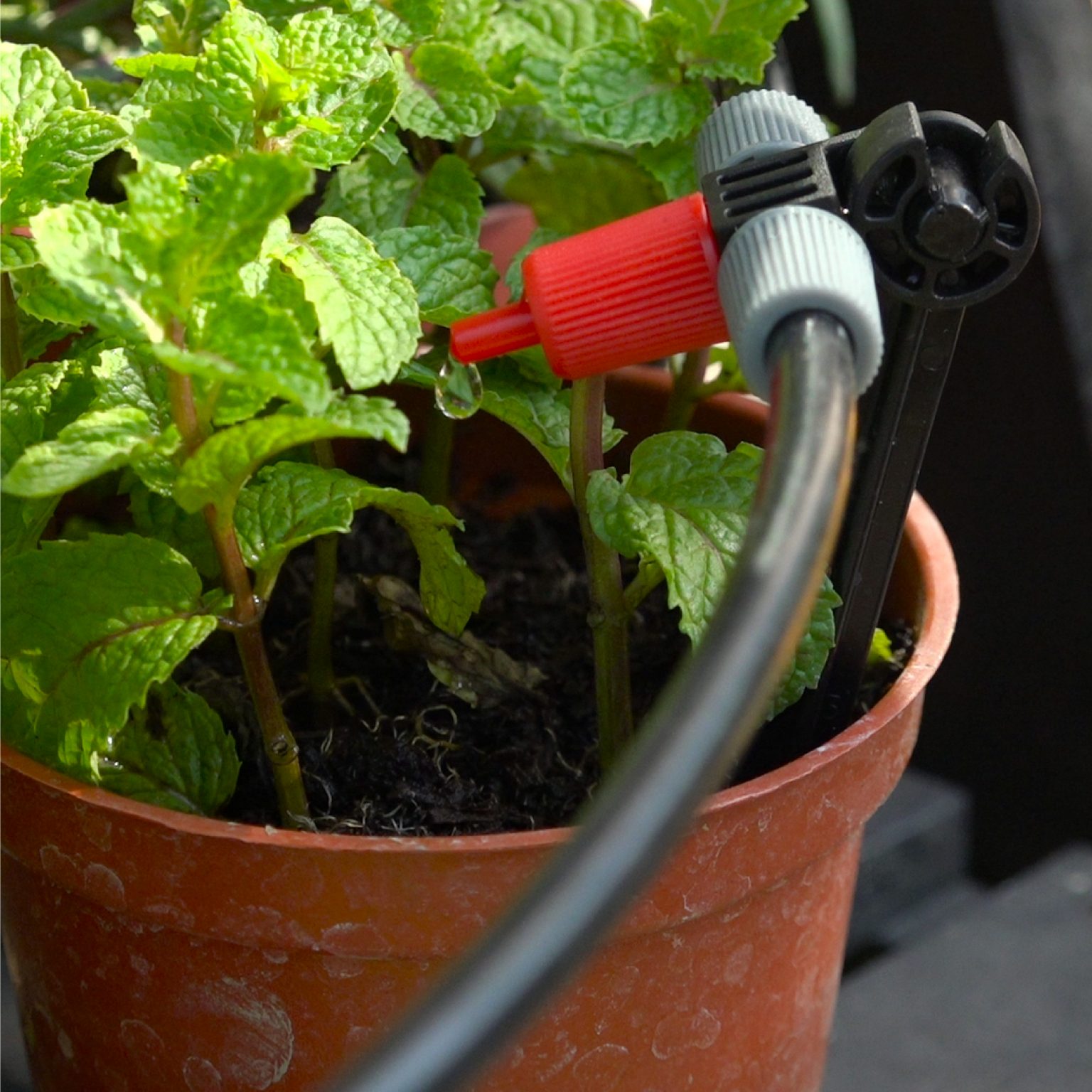 Micro Drip Irrigation Kit with 4-Zone Valve Control - Eden Garden