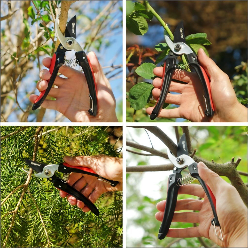 Bypass Pruning Shears - Eden Garden