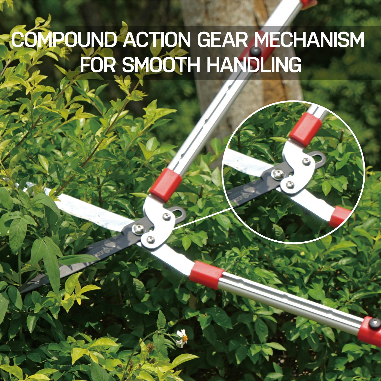 Extendable Hedge Shears with Wavy Blade - Eden Garden